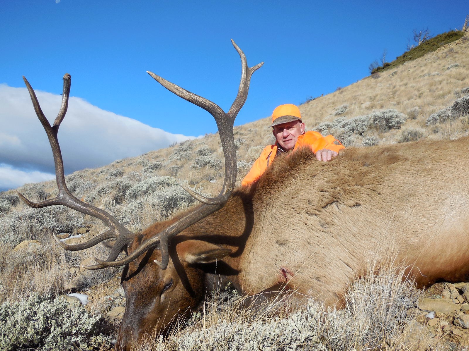 Blog | Buffalocreek.com